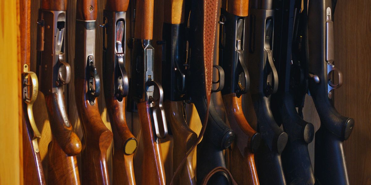 The Best Guns For Killing Snakes - Backyard Prepper